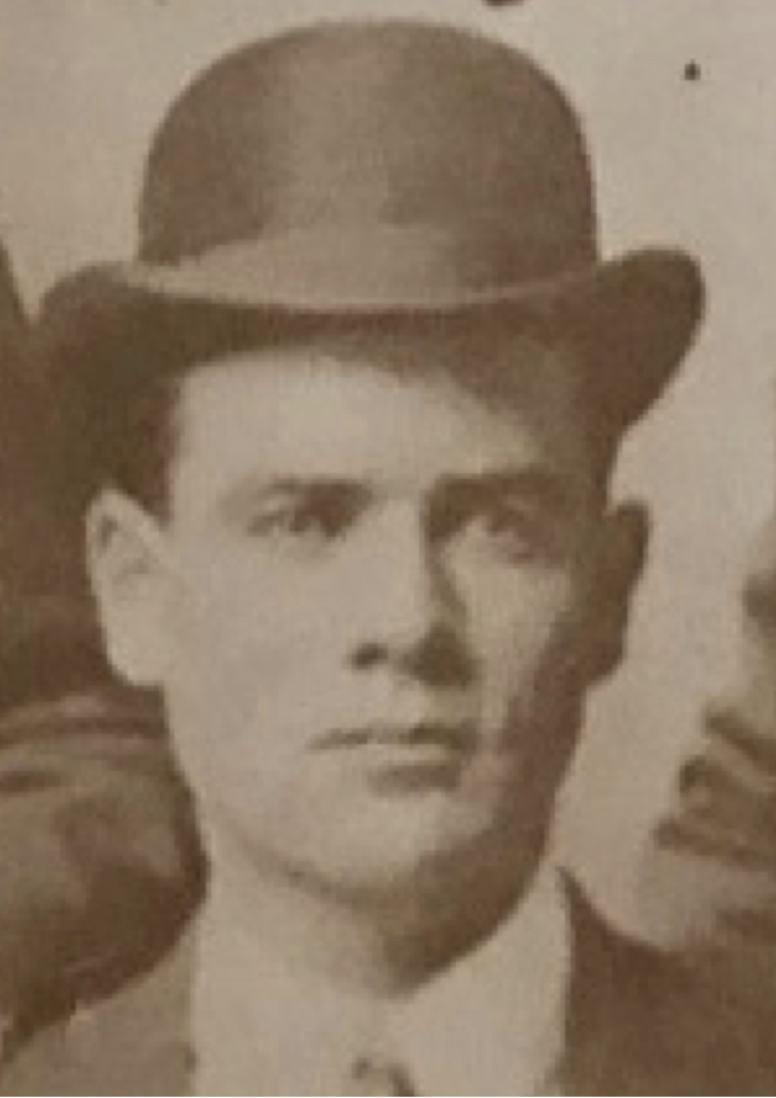 About this photo – The Wild Bunch